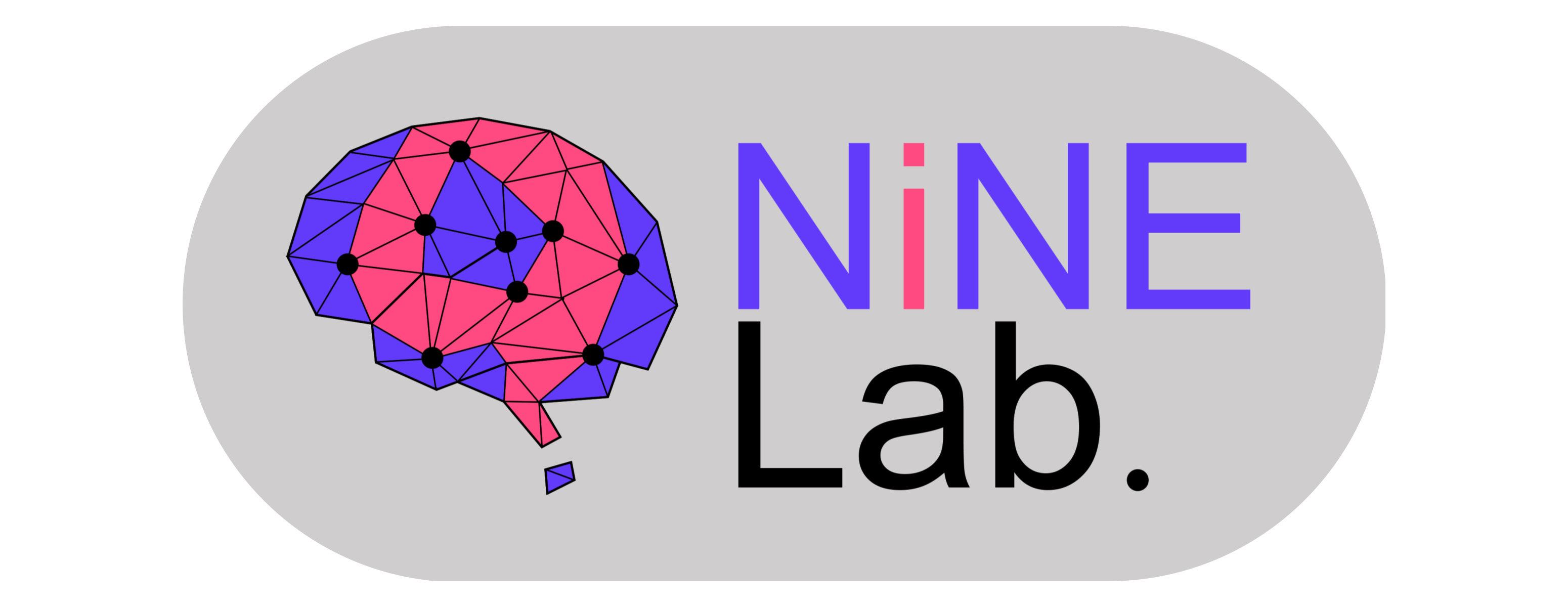 Professor | NiNE Lab | 한양대학교 뇌영상 및 뇌공학 연구실